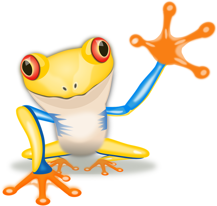 Download Amphibian HQ PNG Image in different resolution | FreePNGimg