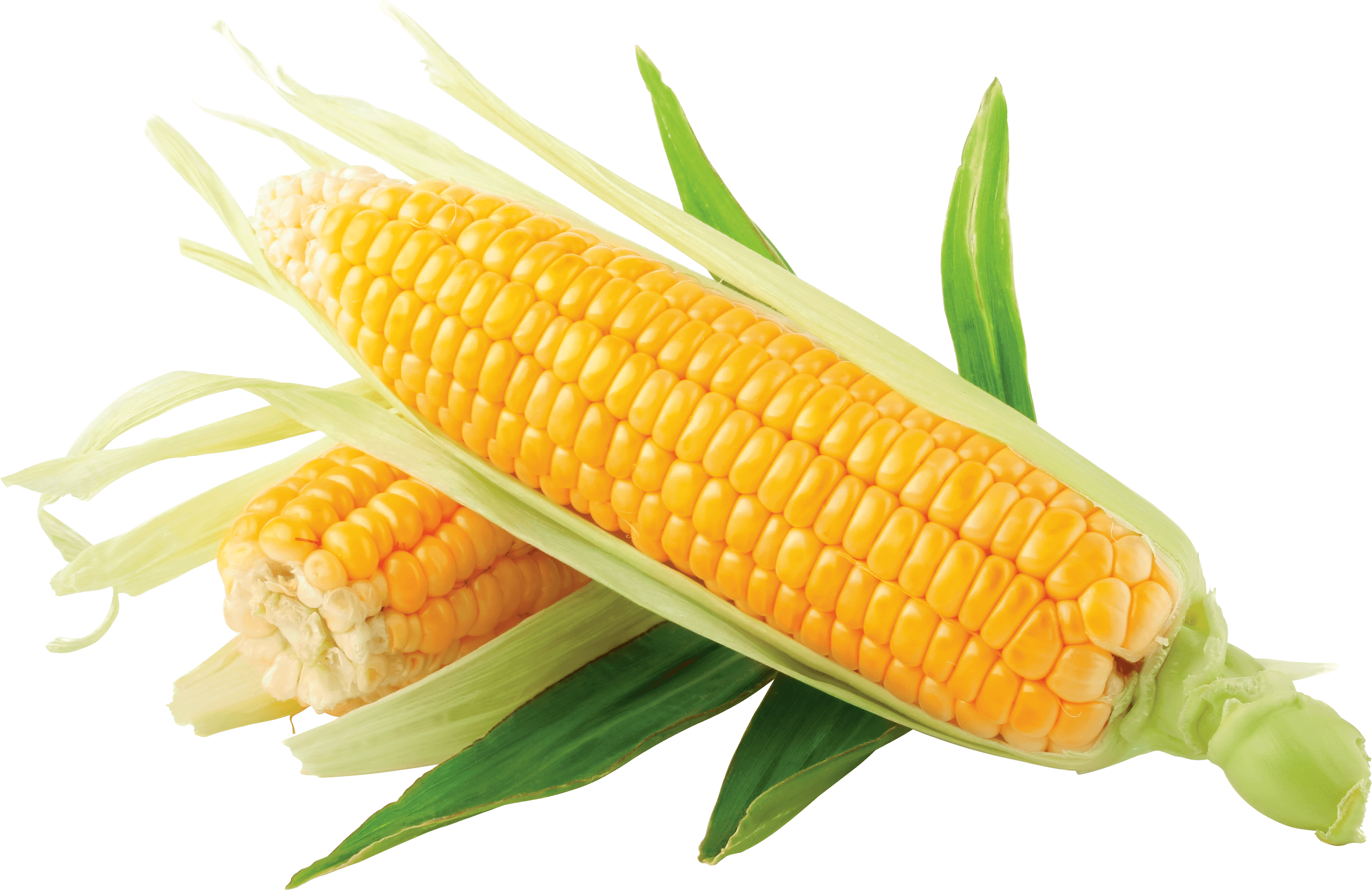 Download Corn Png Image HQ PNG Image | FreePNGImg