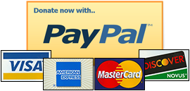 Download Free Paypal Donate Button Free Png Image ICON favicon | FreePNGimg