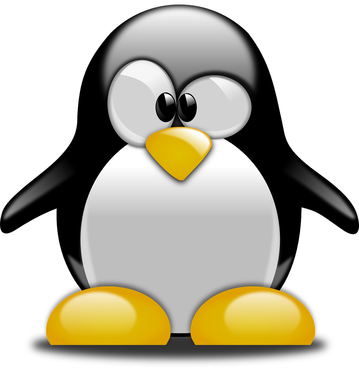 Download Free Tux Racer Linux Penguin Free PNG HQ ICON favicon | FreePNGImg
