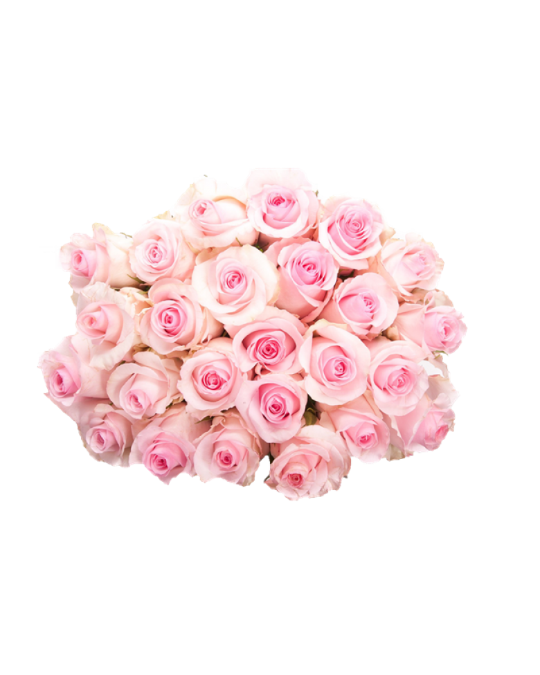 Download Free Pink Light Flower Bunch Rose ICON favicon | FreePNGimg