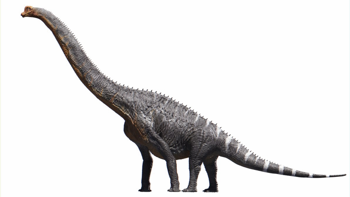 Brachiosaurus Download Free Image Transparent HQ PNG Download | FreePNGImg