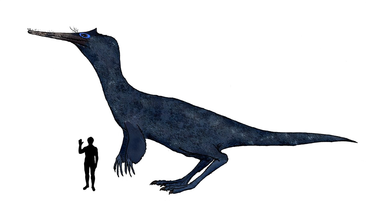 Theropod Download PNG Free Photo Transparent HQ PNG Download | FreePNGimg